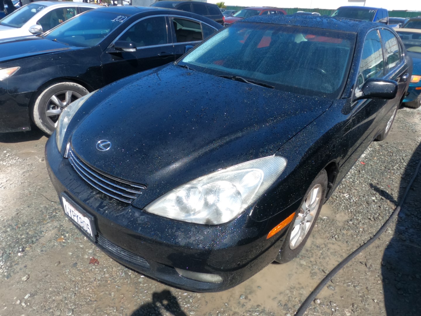 2002 LEXUS ES300 | OtayAutoAuctions.com