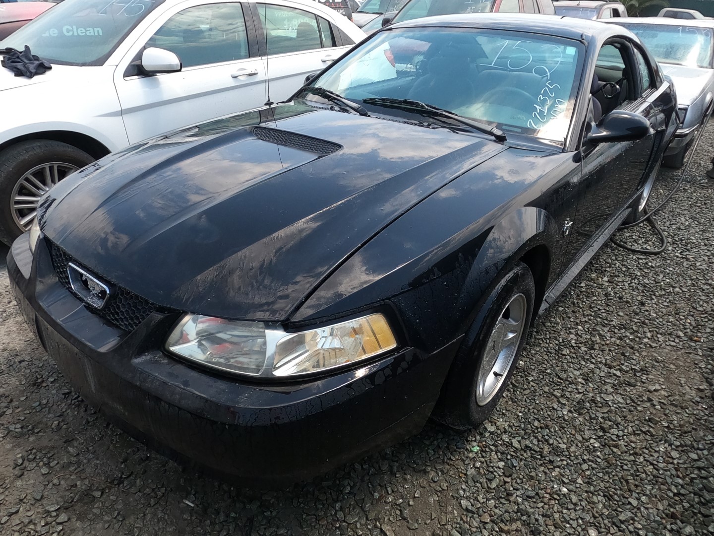1999 FORD MUSTANG | OtayAutoAuctions.com