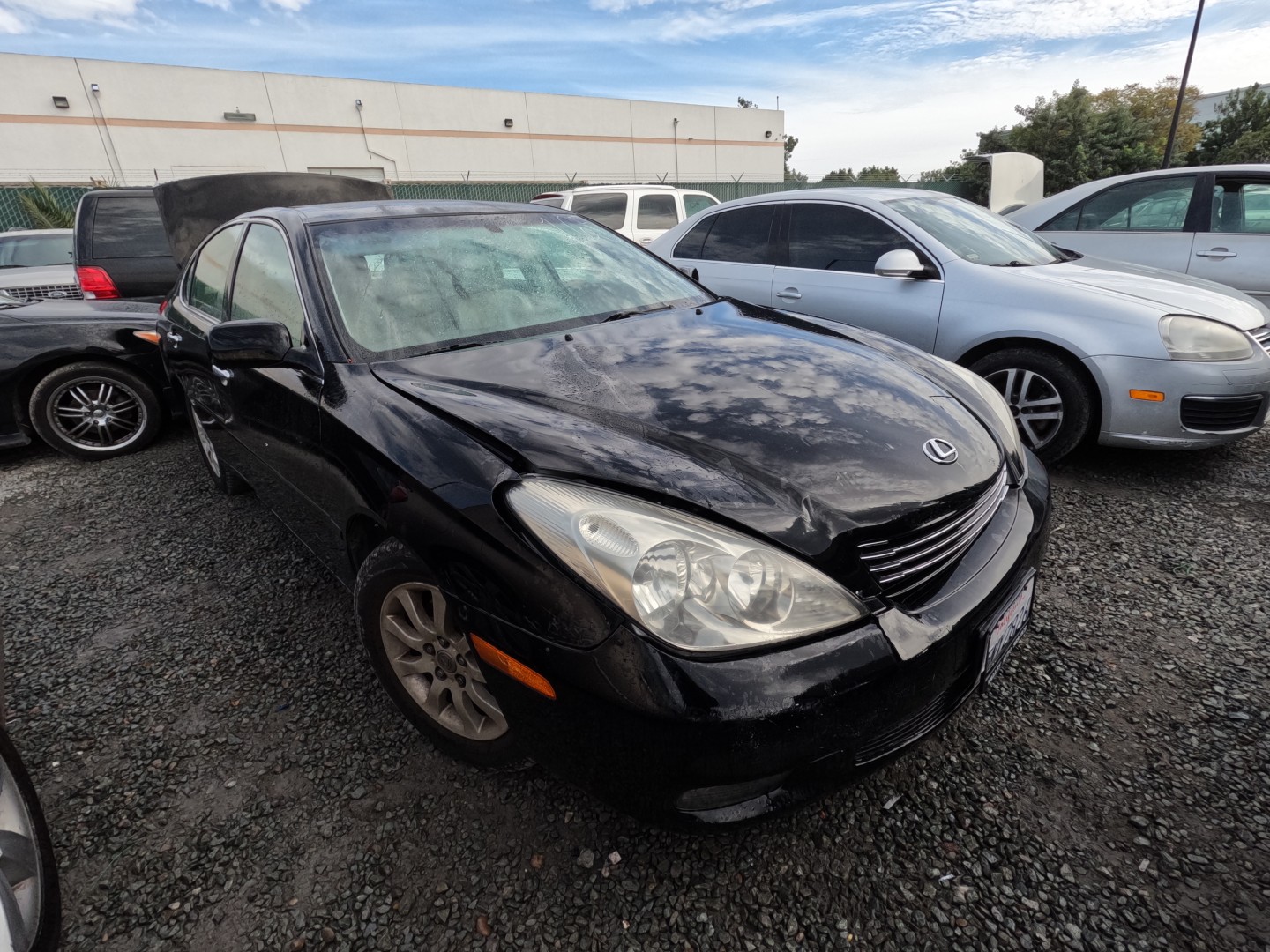 2004 LEXUS ES 330 | OtayAutoAuctions.com