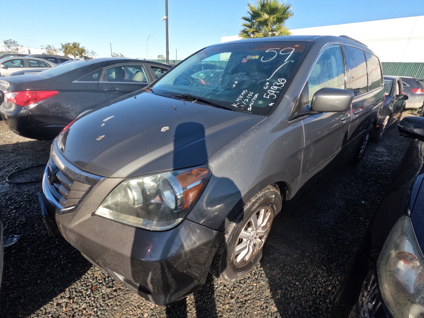 2008 HONDA ODYSSEY | OtayAutoAuctions.com