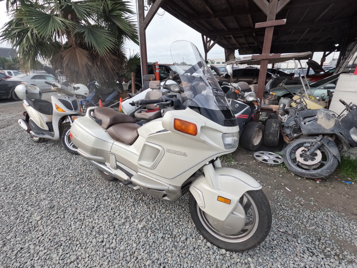 1989 HONDA PC800 | OtayAutoAuctions.com